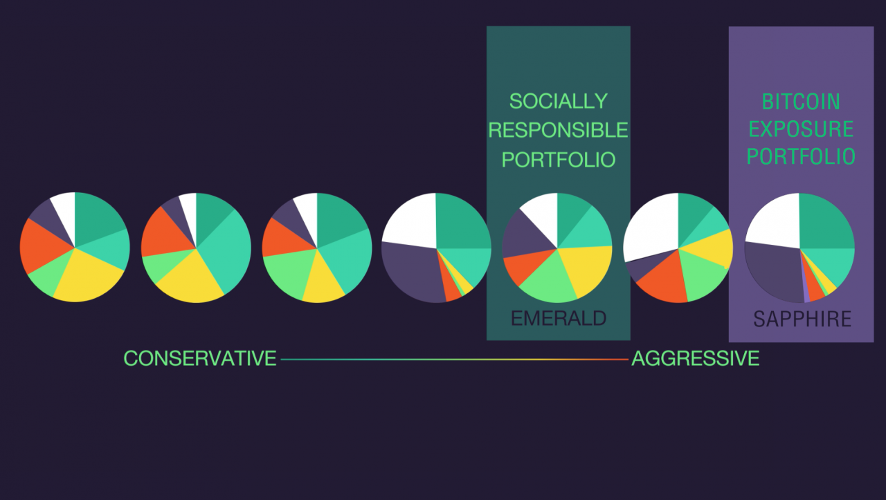 Beginner's guide to a portfolio - Raiz Invest